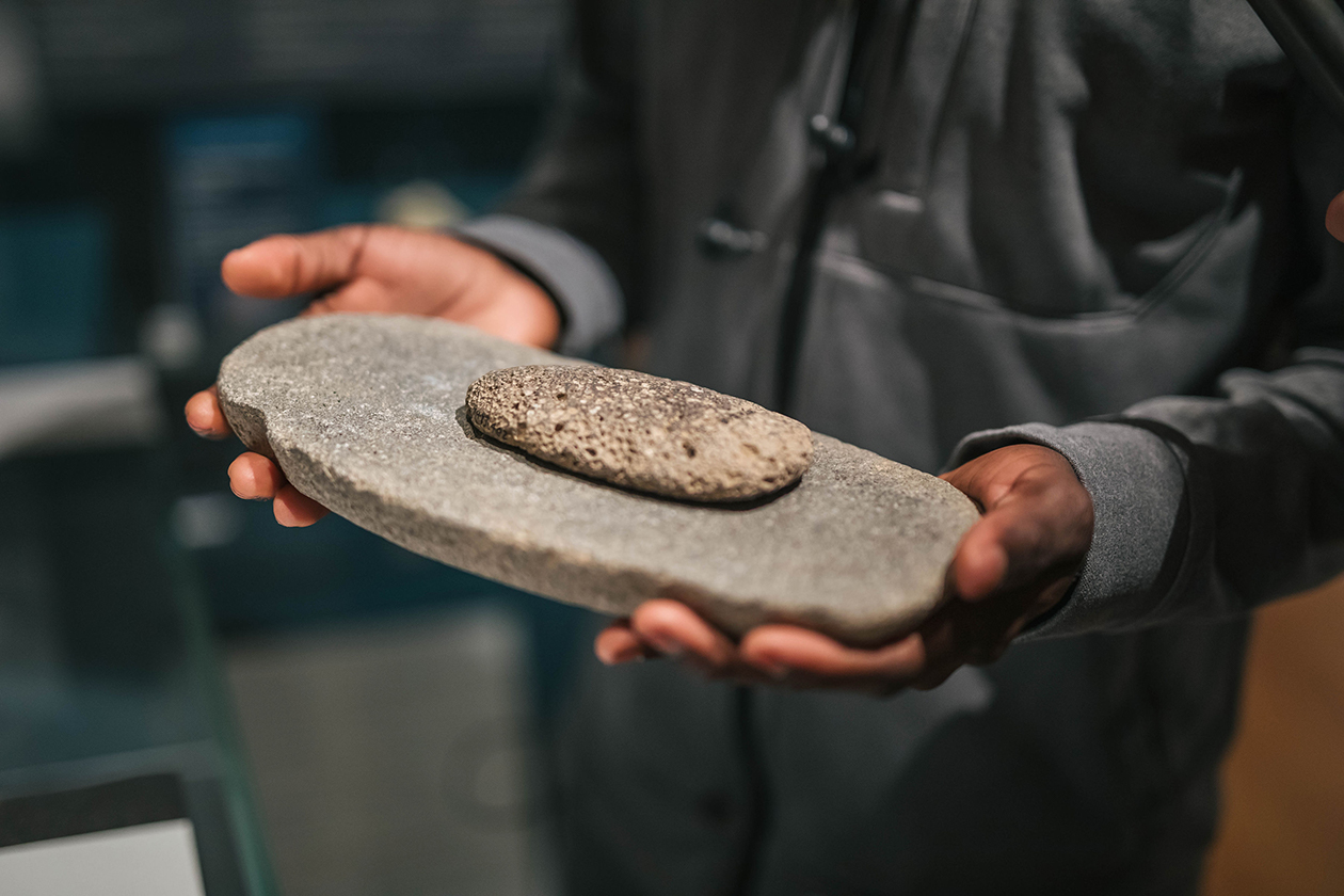 VOICES IN THE GALLERY | Ashmolean Museum