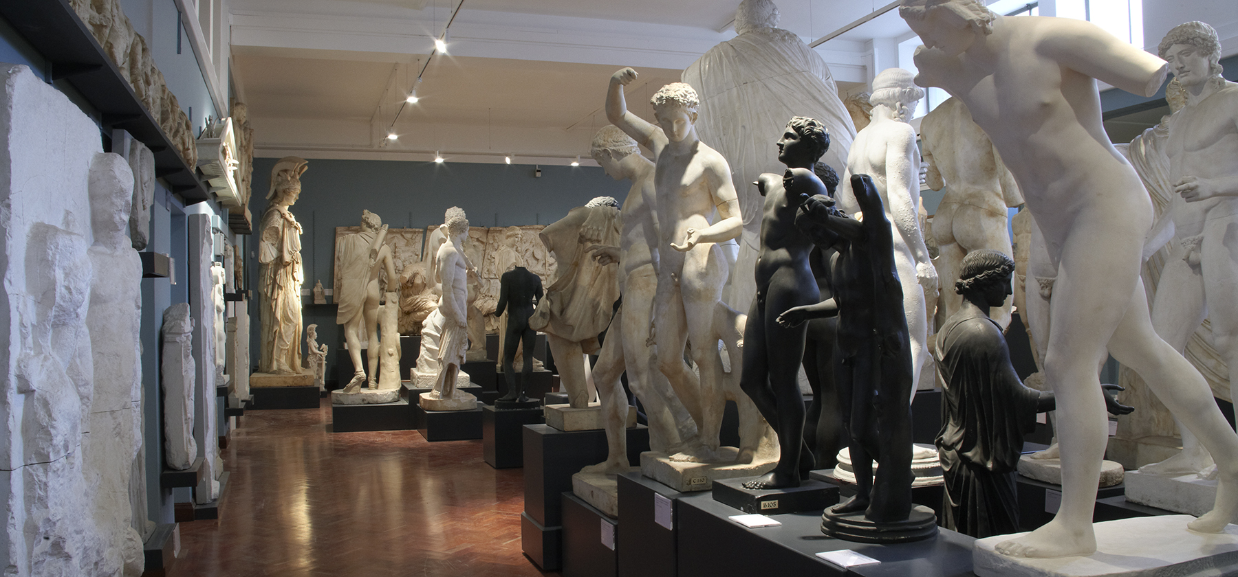 LIFE IN ANCIENT GREECE | Ashmolean Museum