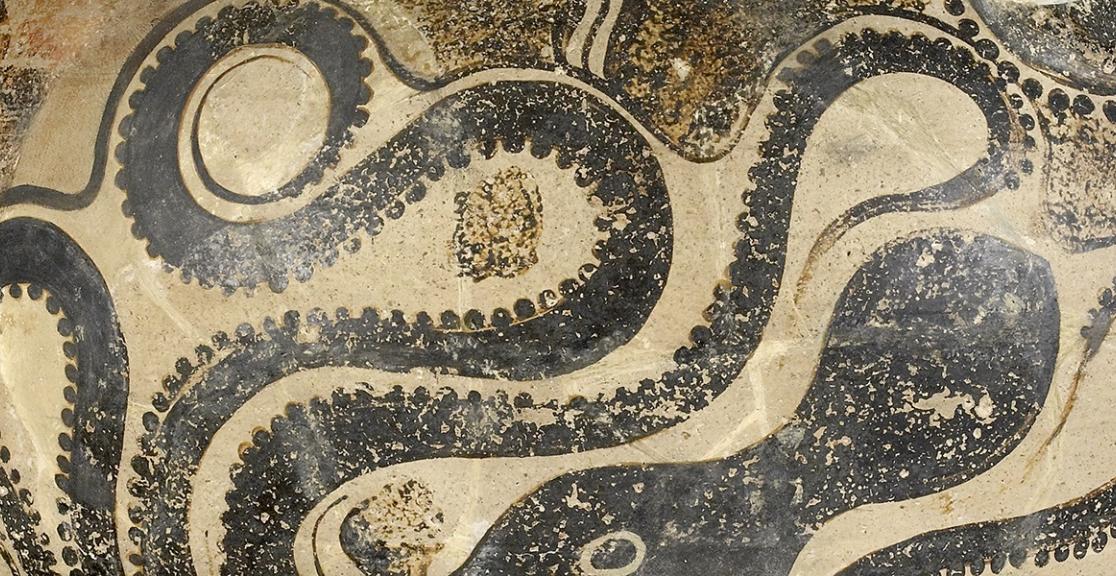 STUDY ROOMS | Ashmolean Museum