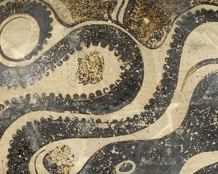 STUDY ROOMS | Ashmolean Museum