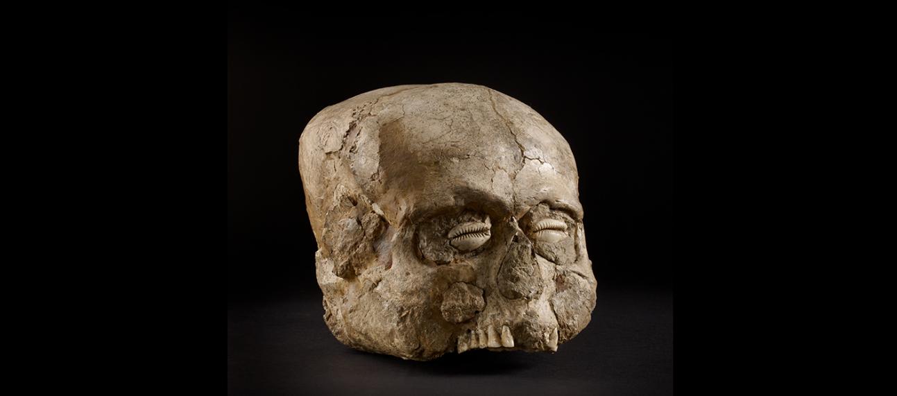 Welcome | Ashmolean Museum