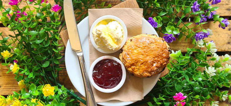 Café and Restaurant | Ashmolean Museum