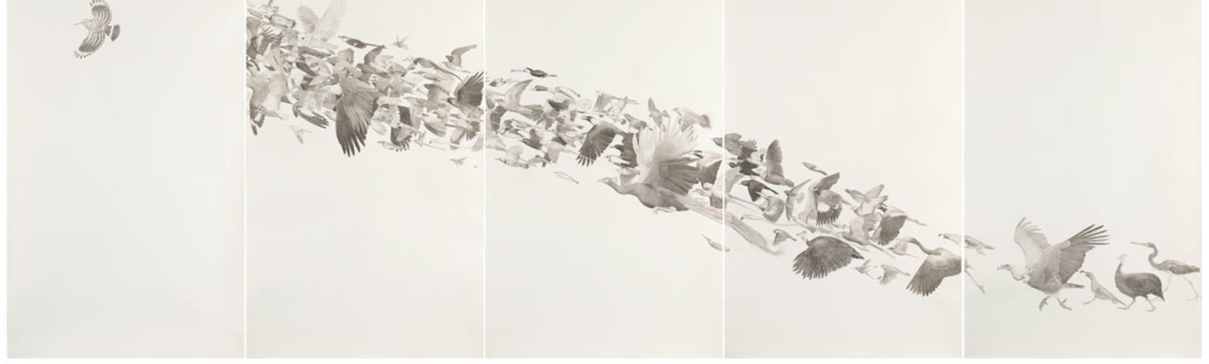 ALI KAZIM EXHIBITION – PRESS RELEASE | Ashmolean Museum