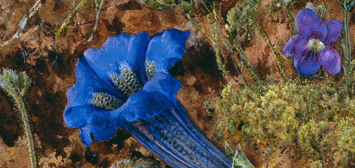 COLOUR REVOLUTION: VICTORIAN ART, FASHION & DESIGN EXHIBITION ...