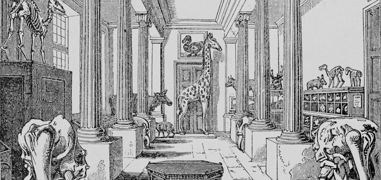 CONSERVATION PIONEERS | Ashmolean Museum