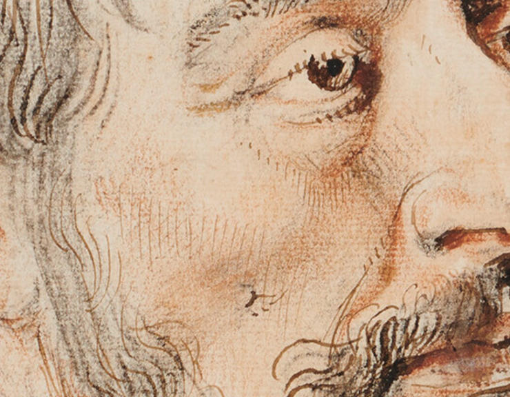 THE FUNCTIONS OF DRAWING FROM BRUEGEL TO RUBENS | Ashmolean Museum