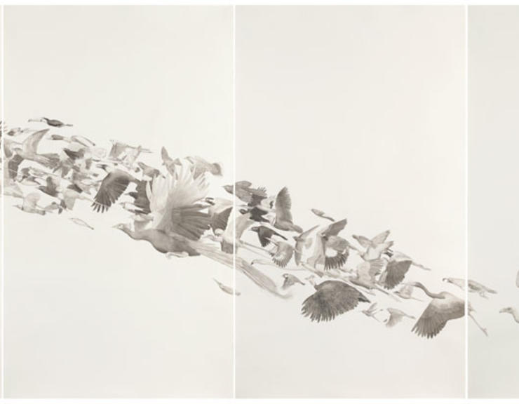 ALI KAZIM EXHIBITION – PRESS RELEASE | Ashmolean Museum