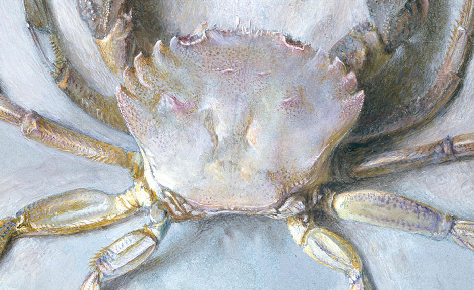 PRE-RAPHAELITES: DRAWINGS & WATERCOLOURS EXHIBITION | Ashmolean Museum