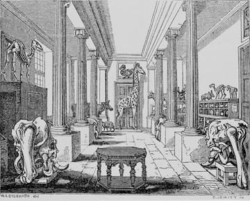 CONSERVATION PIONEERS | Ashmolean Museum